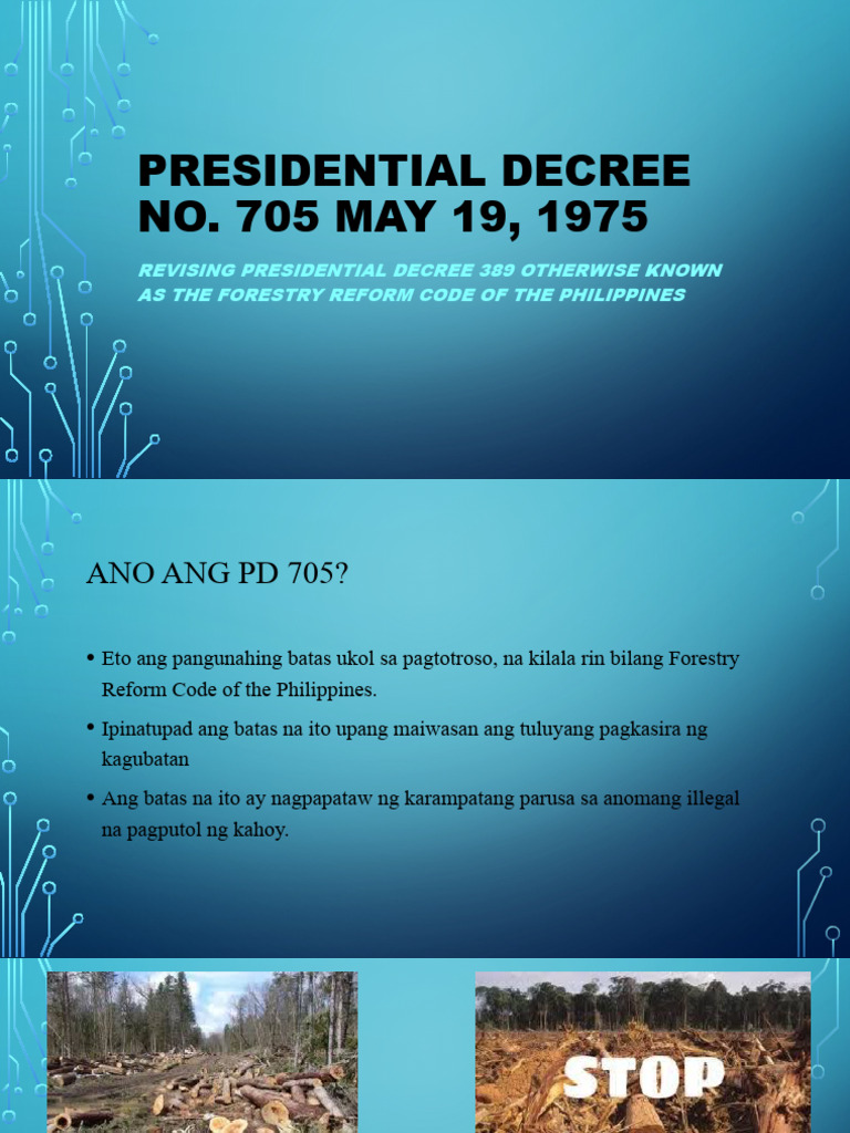 Powerpoint Iec | PDF