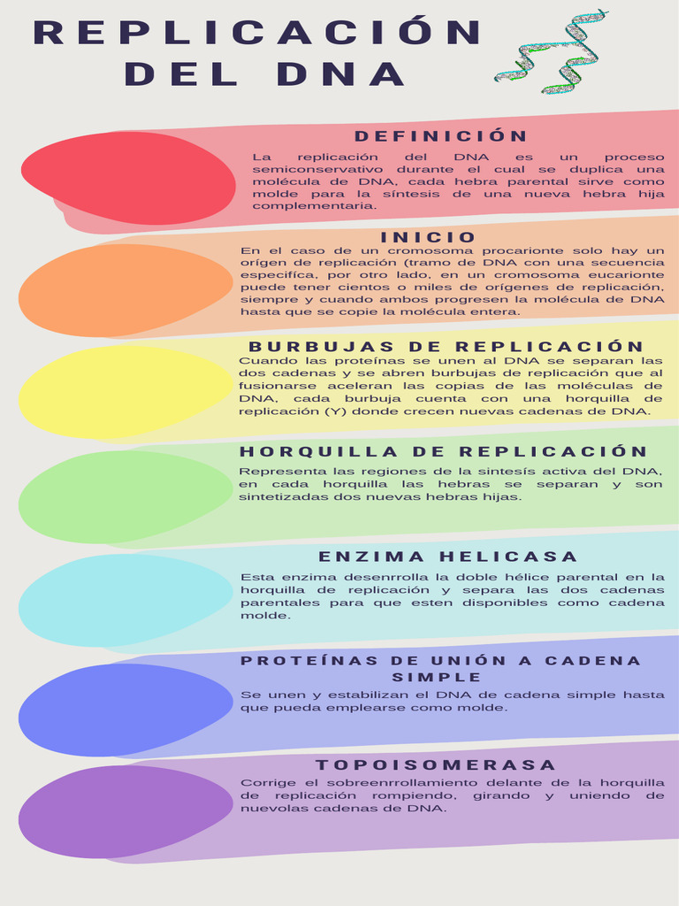 Replicacion Del Dna | PDF | Replicación De Adn | Adn