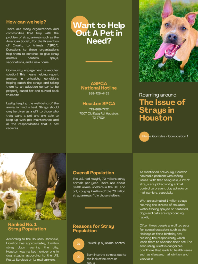 Visual Argument | PDF | Pet | Animals And Humans