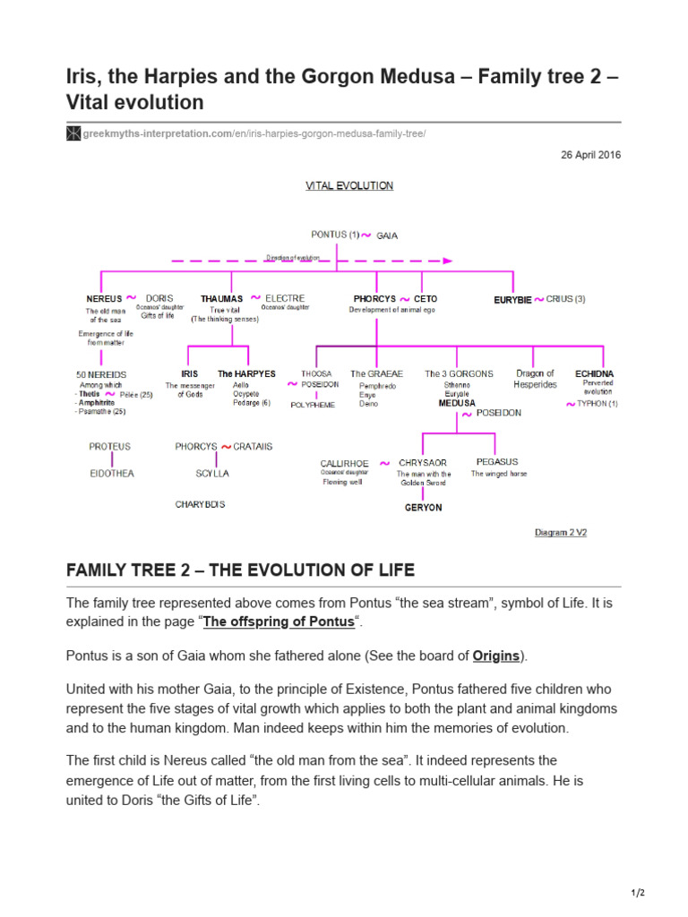 Iris The Harpies and The Gorgon Medusa Family Tree 2 Vital Evolution ...