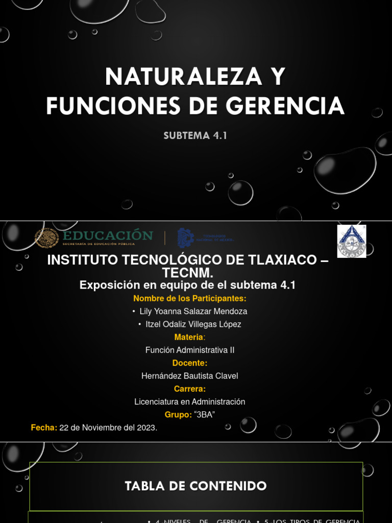 Naturaleza y Funciones de Gerencia | PDF | Marketing | Calidad (comercial)