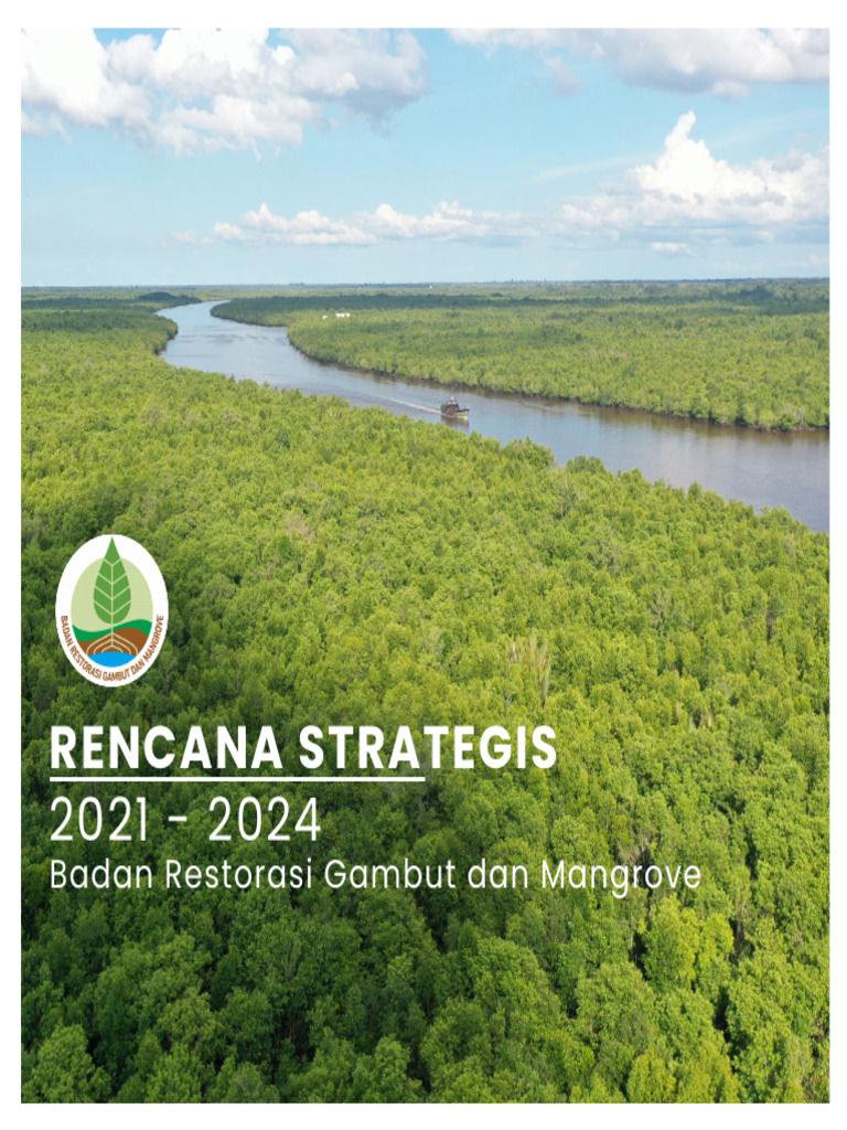 Renstra BRGM 2021 2024 | PDF