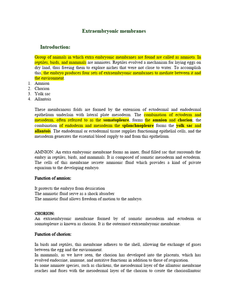 Extraembryonic Membranes | PDF | Zoology | Morphology (Biology)