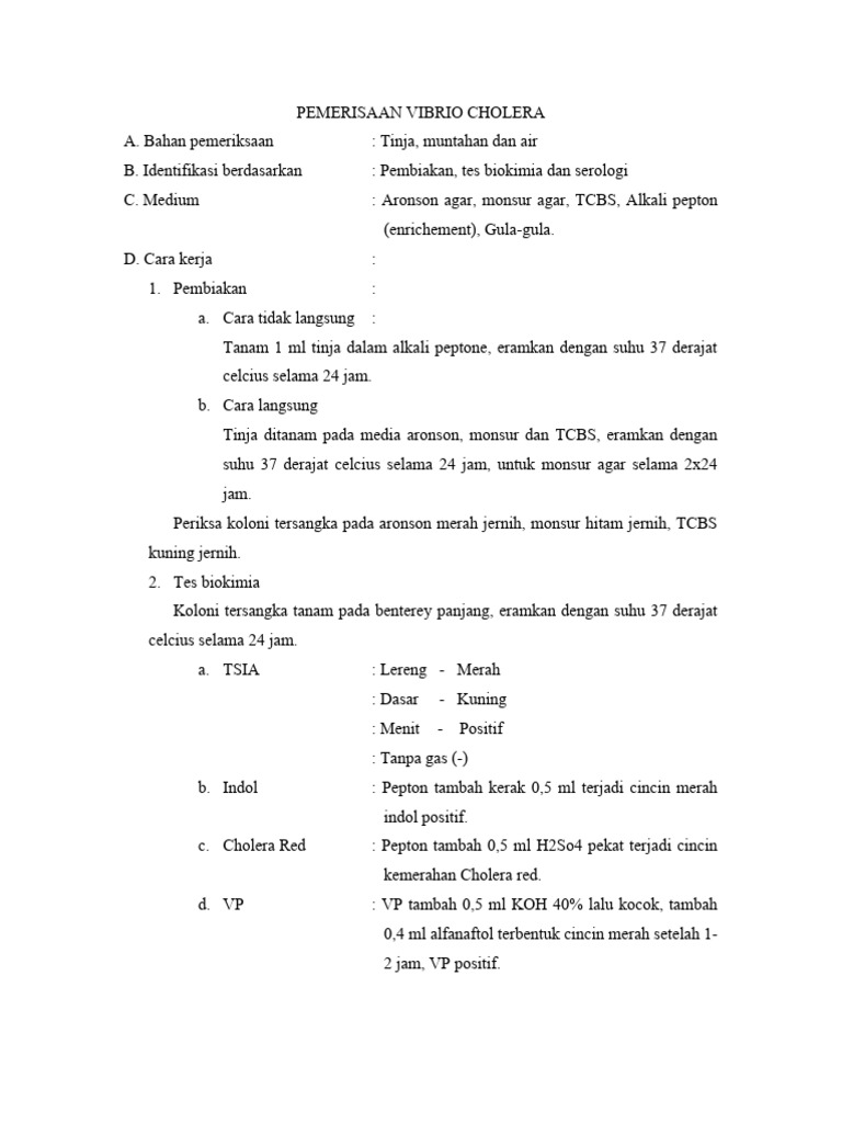 Pemerisaan Vibrio Cholera | PDF
