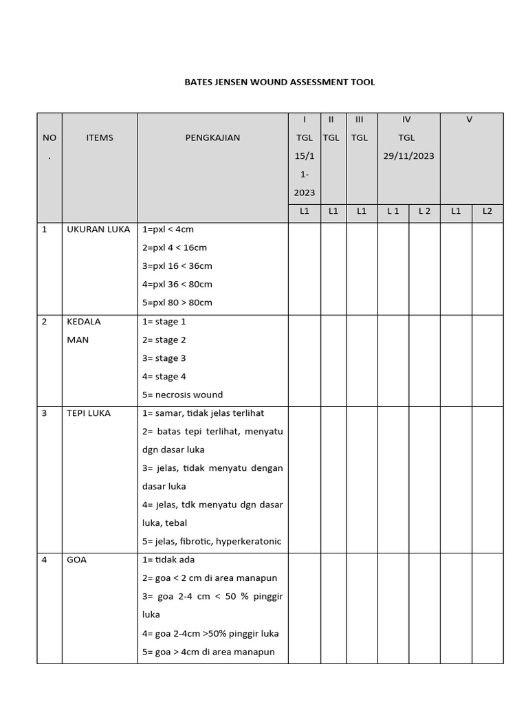 Bates Jensen Wound Assessment Tool | PDF