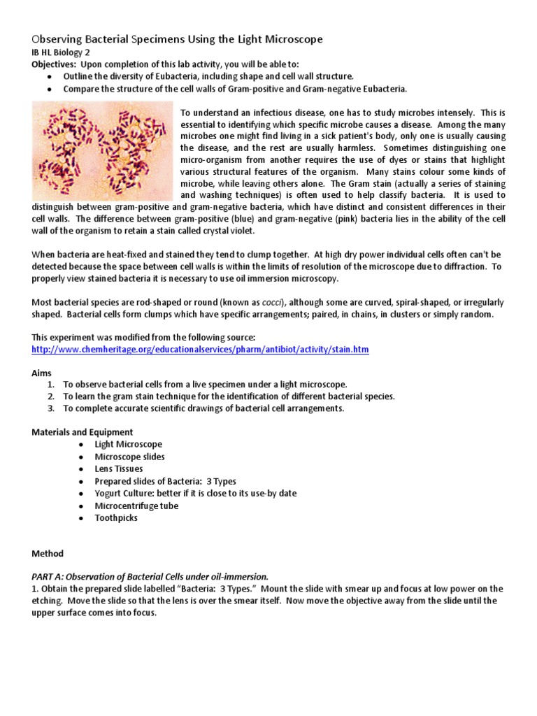 Observing Bacteria with Light Microscopy | PDF | Staining | Bacteria