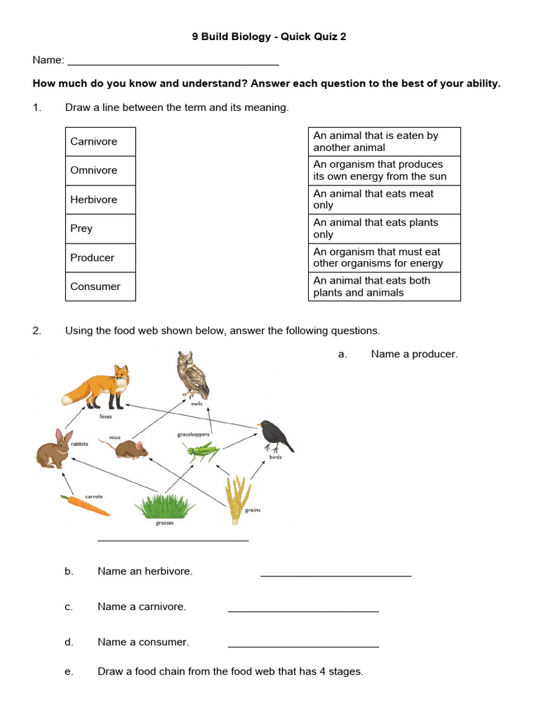 Biology Quick Quiz 2 | PDF | Predation | Food Web