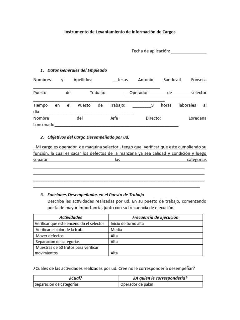 Instrumento de Levantamiento de Información de Cargos | PDF