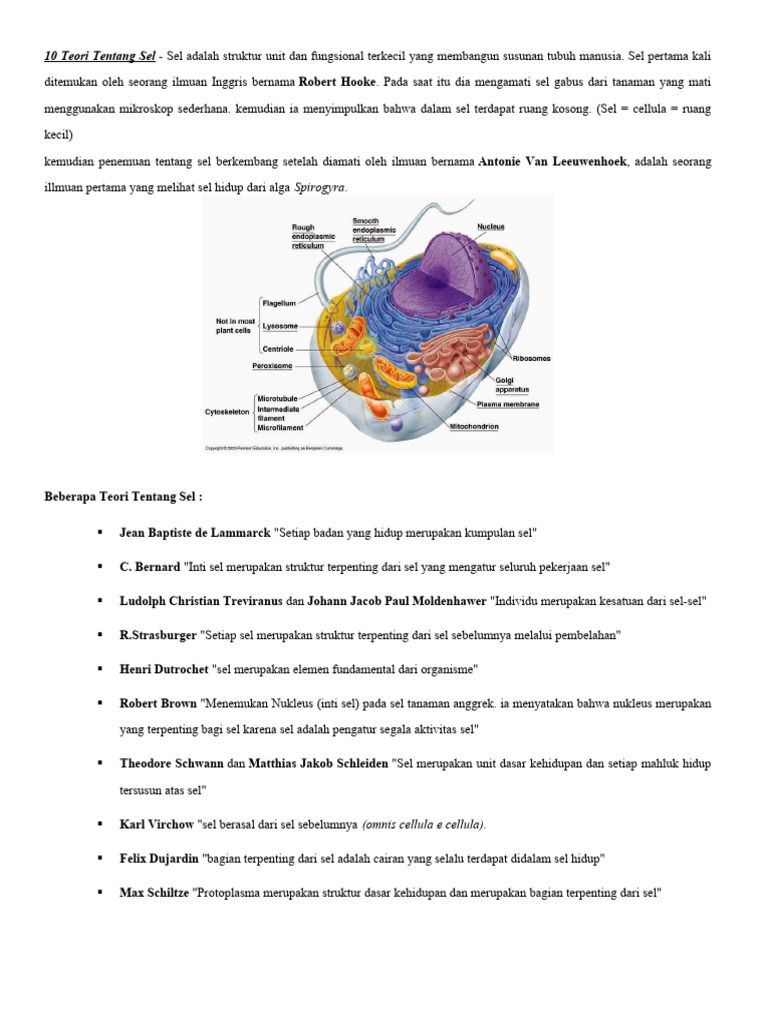 10 Teori Tentang Sel Pdf