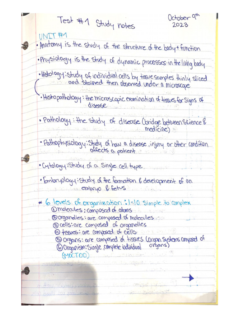 ANAT Test #1 Notes | PDF