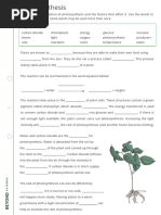 Biology Worksheet 1 - Genetics (Grade 12) | PDF | Dominance (Genetics ...
