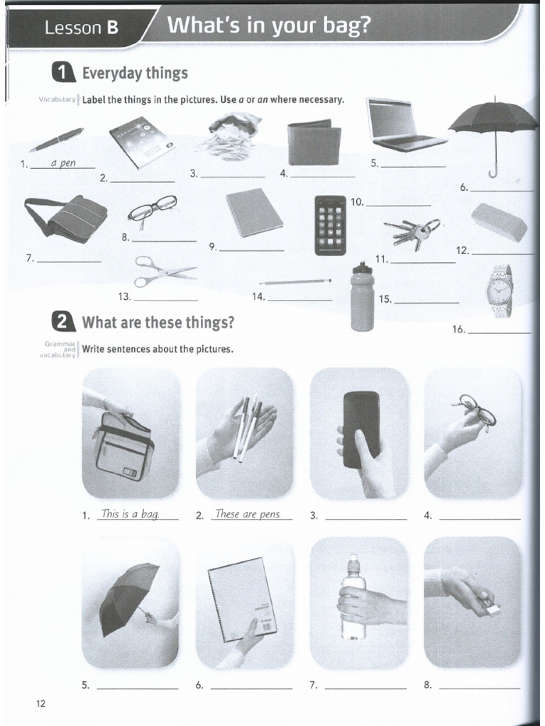 Touchstone 1 UNIT 2 Lesson B | PDF