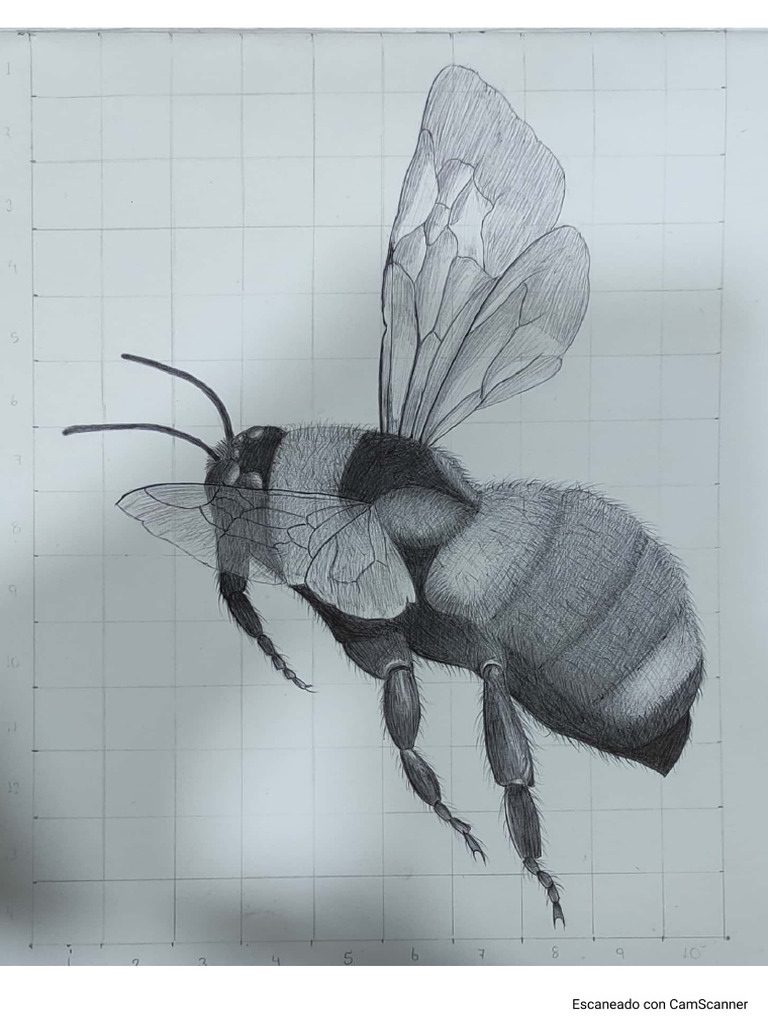 Trimestral Maya Díaz | PDF