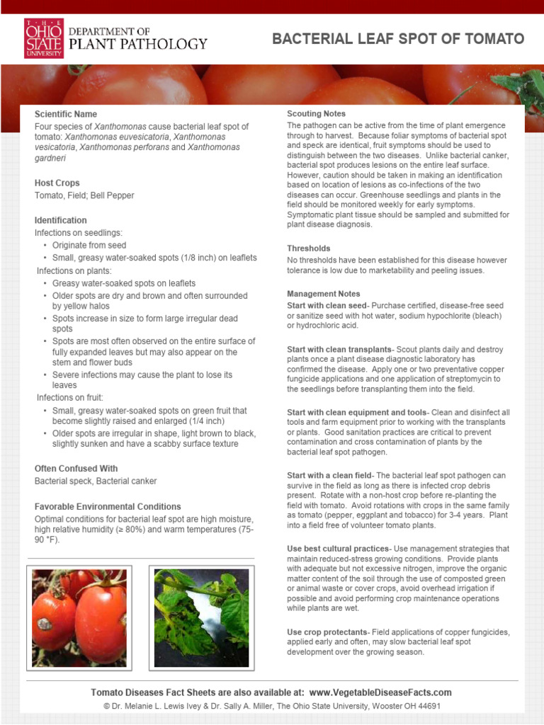 Bacterial Leaf Spot Fact Sheet - English 1a4aw7c | PDF | Organisms ...