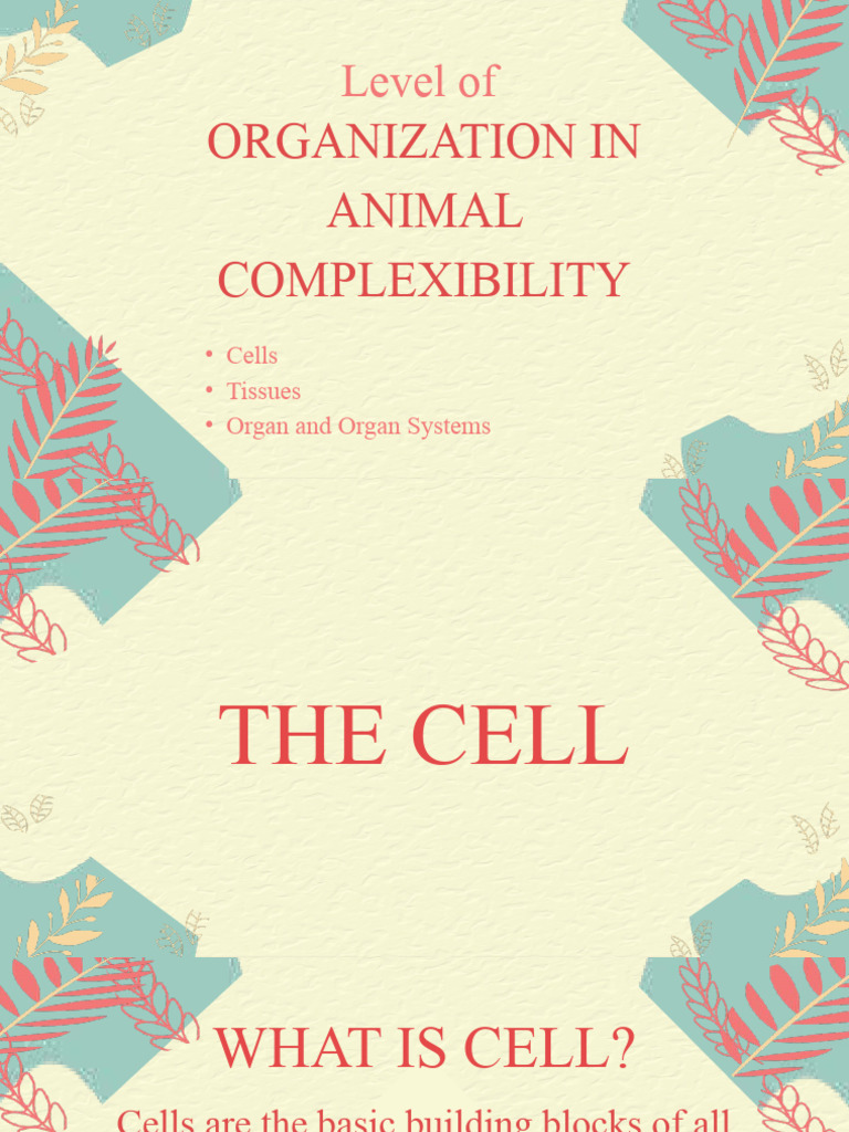 Levels of Organization in Animal Complexibility | PDF | Cell (Biology ...