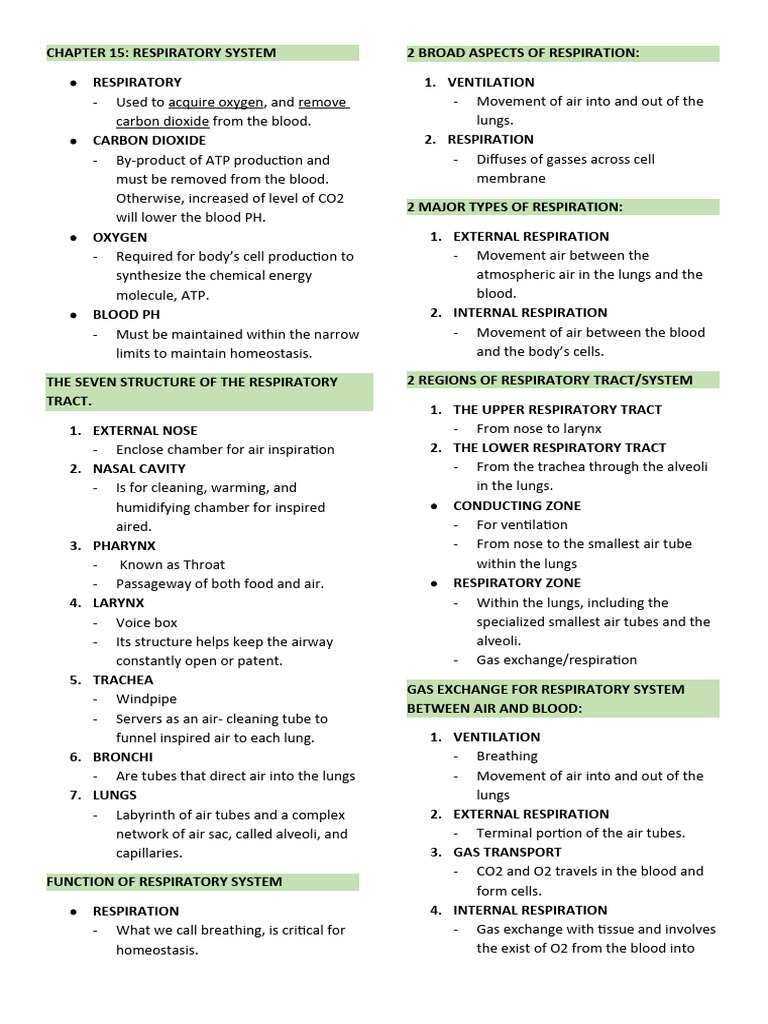Chapter 15: Respiratory System MC 1 | PDF | Lung | Respiratory System