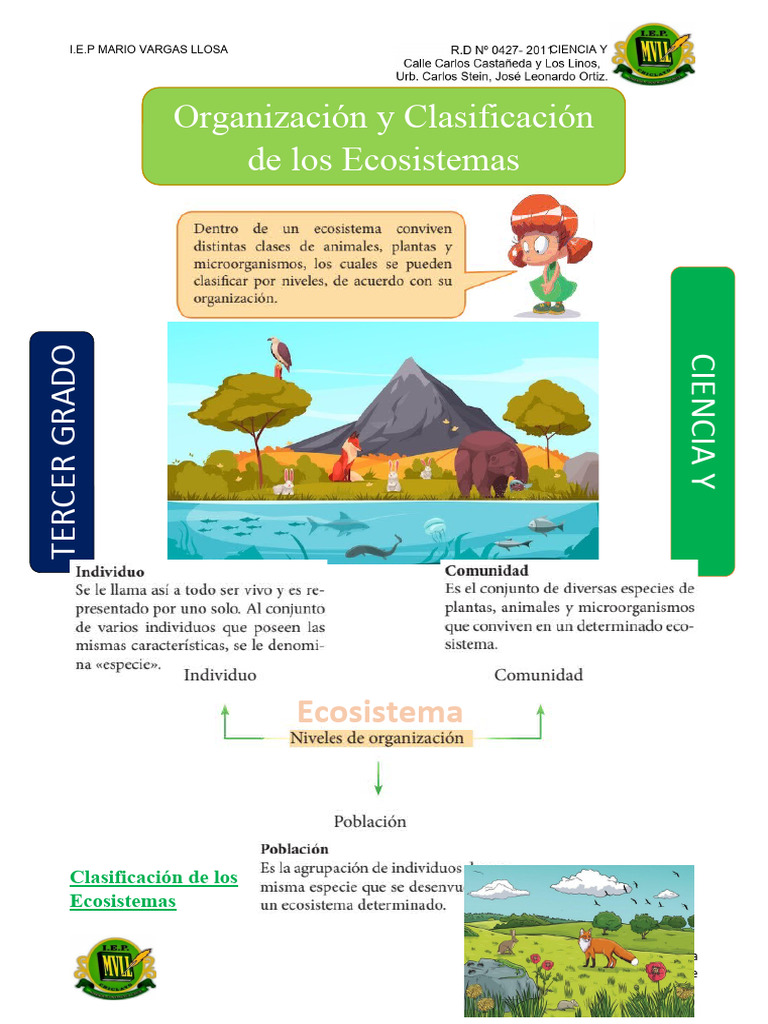 Organización y Clasificación de Los Ecosistemas | PDF | Entorno natural | Ecosistema