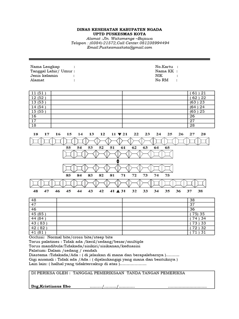 Lembar Odontogram | PDF