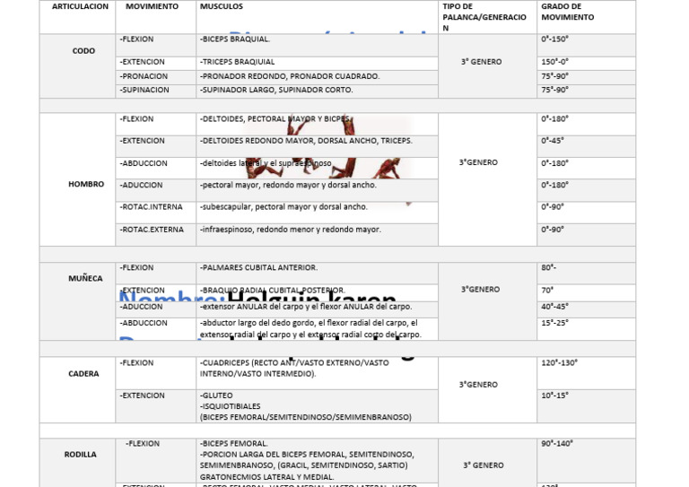 ARTICULACION | PDF | Articulaciones | Tejido suave