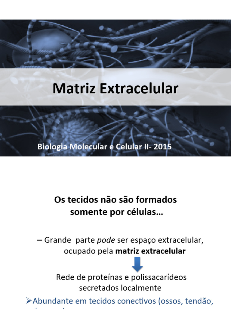 Aula 11 MEC | PDF