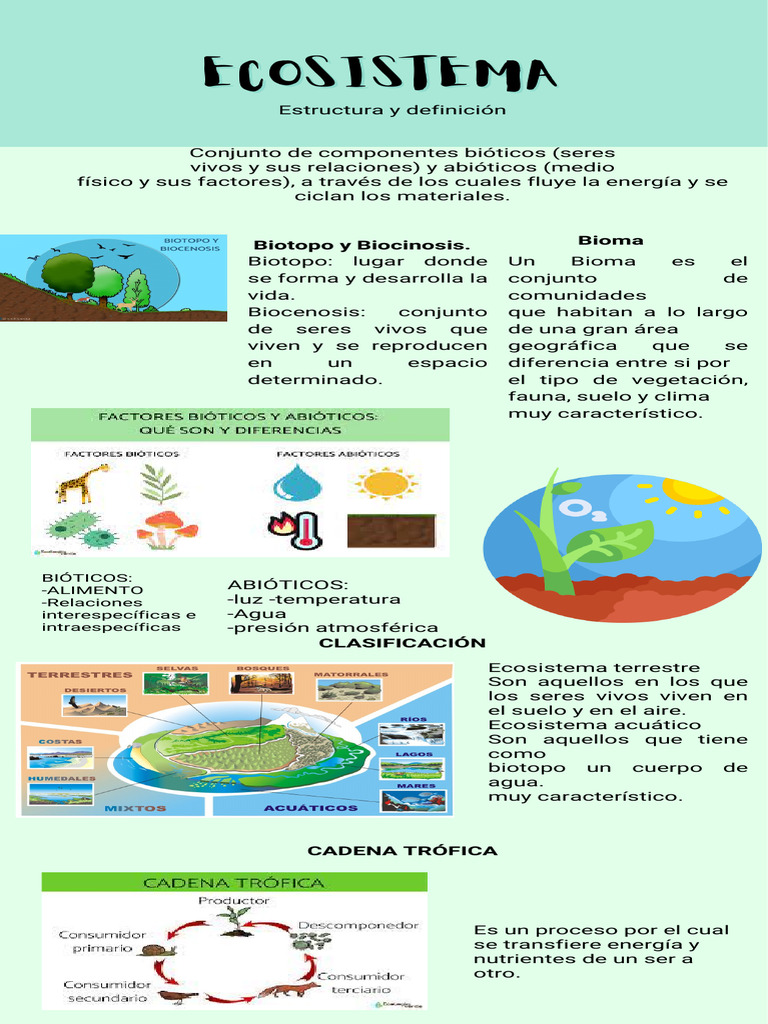 Infografía Del Ecosistema | PDF