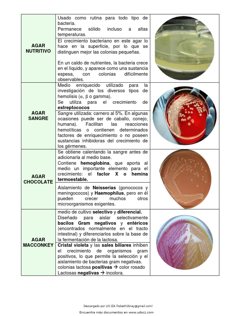 Tipos de agares en microbiología | PDF | Microscopía | Microbiología