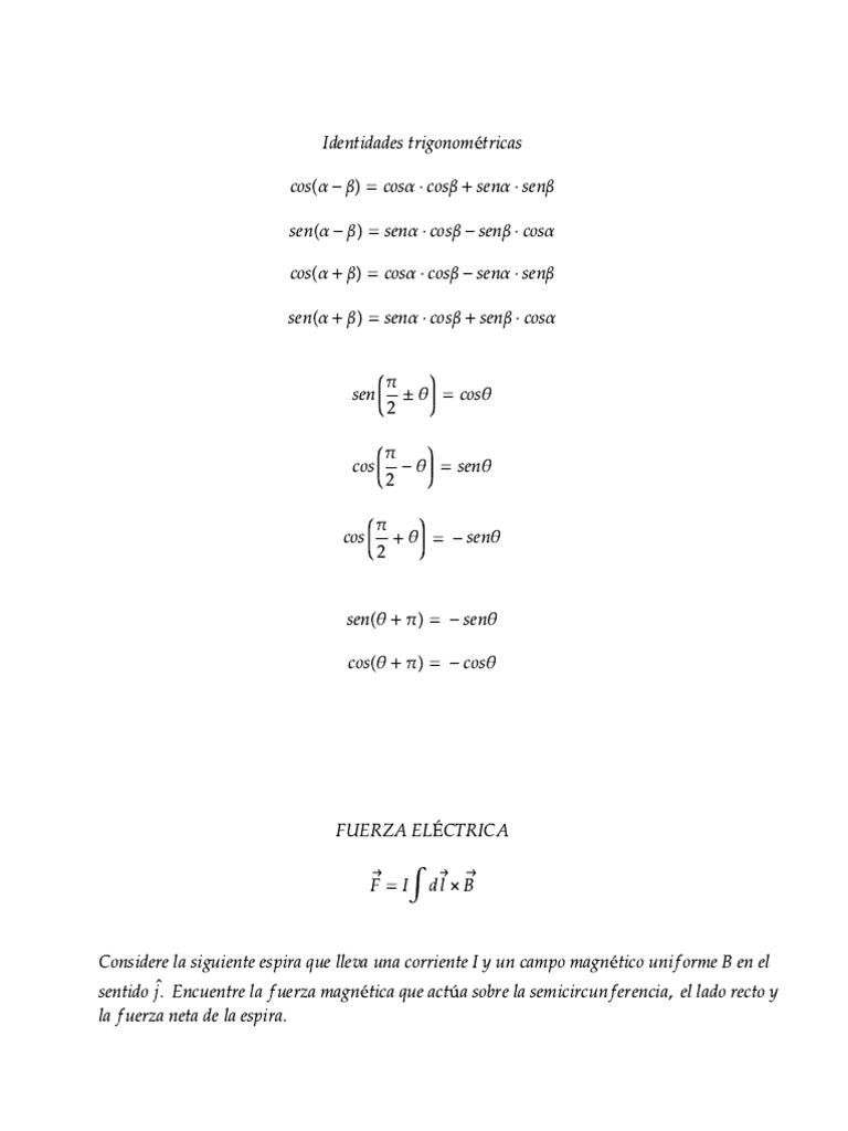 Ejercicios Fuerza Mag y Biot Savart | PDF | Campo magnético | Fuerza