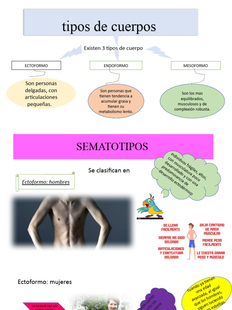 Tipos de Cuerpos | PDF | Biofísica Molecular | Biotecnología