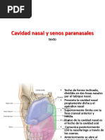 Nariz y senos paranasales | PDF | Nariz humana | Rinología