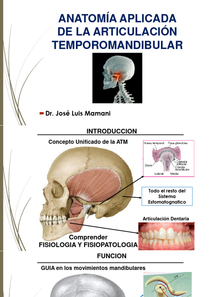CAP. 5 Anatomia Aplicada de La ATM | PDF | Articulación | Anatomía humana