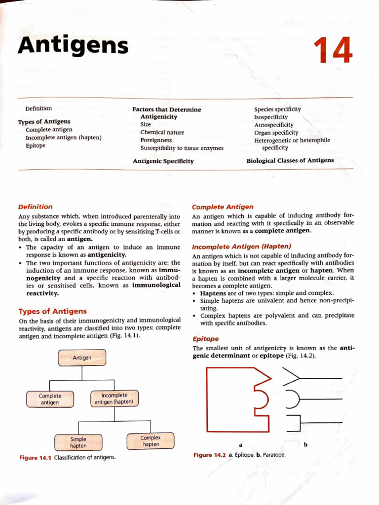 Antigens | Download Free PDF | Antigen | Immunogenicity
