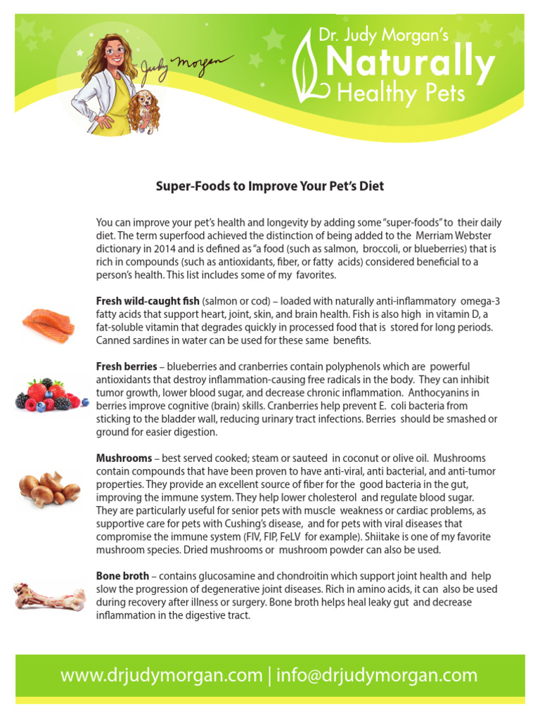 Super Foods To Improve Your Pet's Diet | PDF | Garlic | Diet & Nutrition Super Foods To Improve Your Pet's Diet | PDF | Garlic | Diet & Nutrition