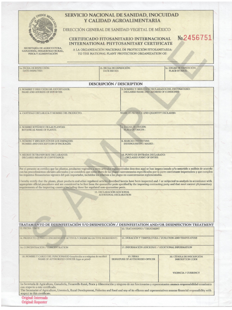 MODELO_DE_CFI-M_XICO_ejemplo | PDF
