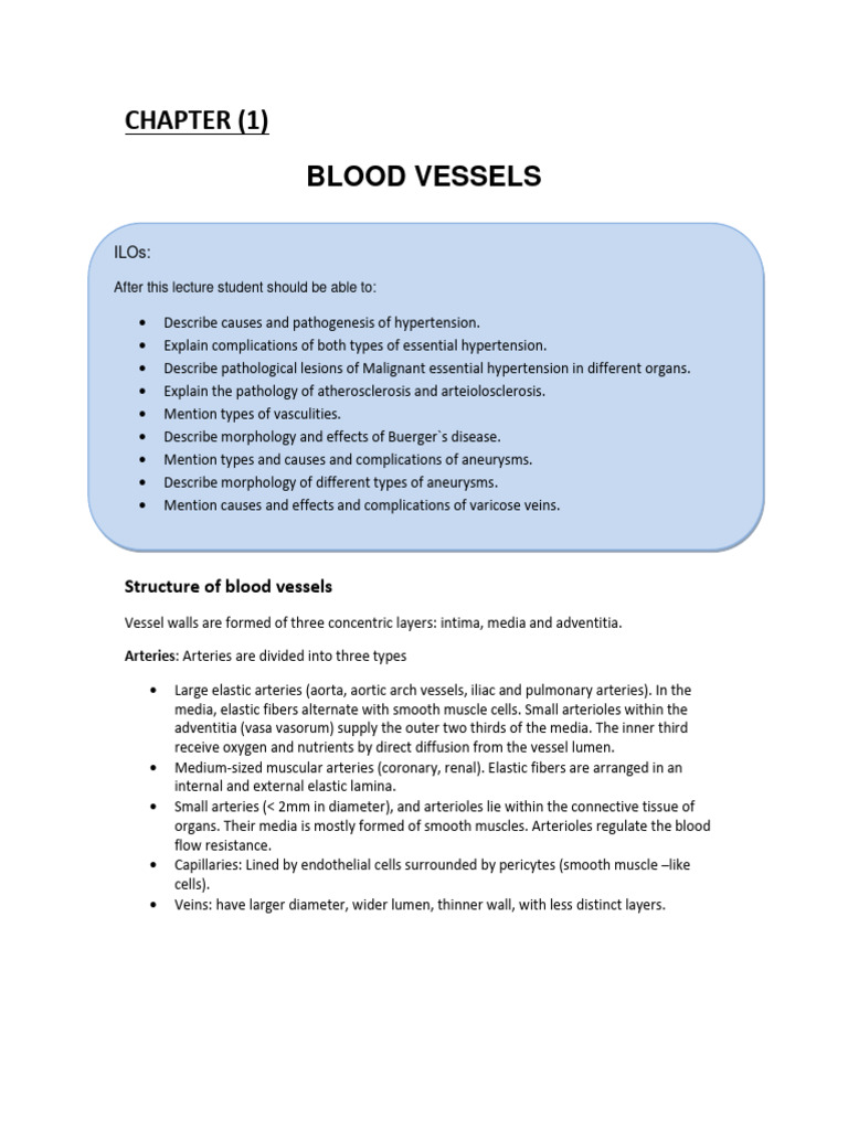 Chapter (1) Blood Vessels | Download Free PDF | Artery | Blood Vessel