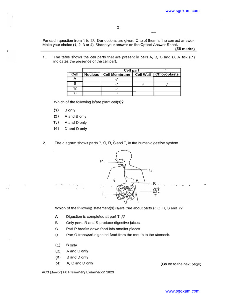 2023 P6 Science Prelim ACSJ | PDF | Plants | Photosynthesis