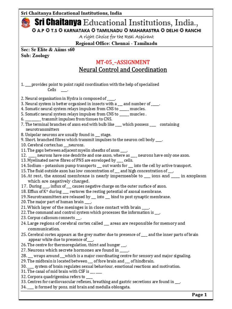 Neural Control and Coordination - Zoology Assignment | PDF | Axon | Neuron