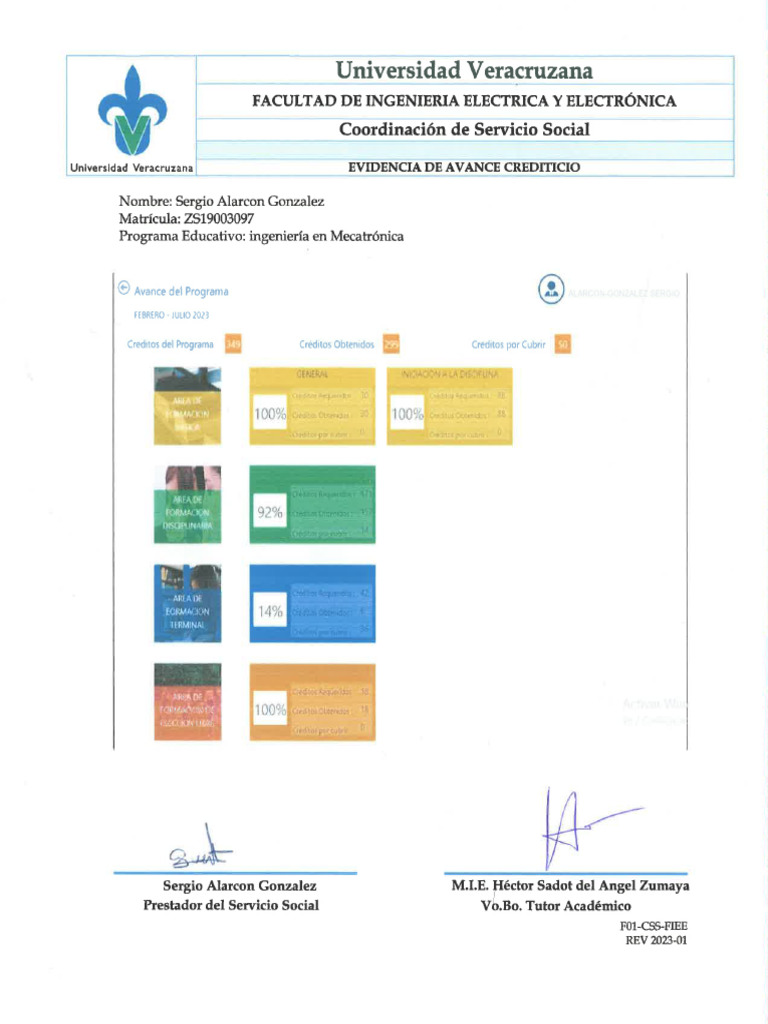Formato 1 Sergio Alarcon Gonzalez | PDF