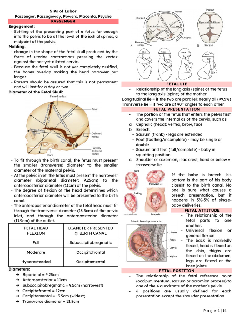 Final Ob1 | PDF | Childbirth | Pelvis
