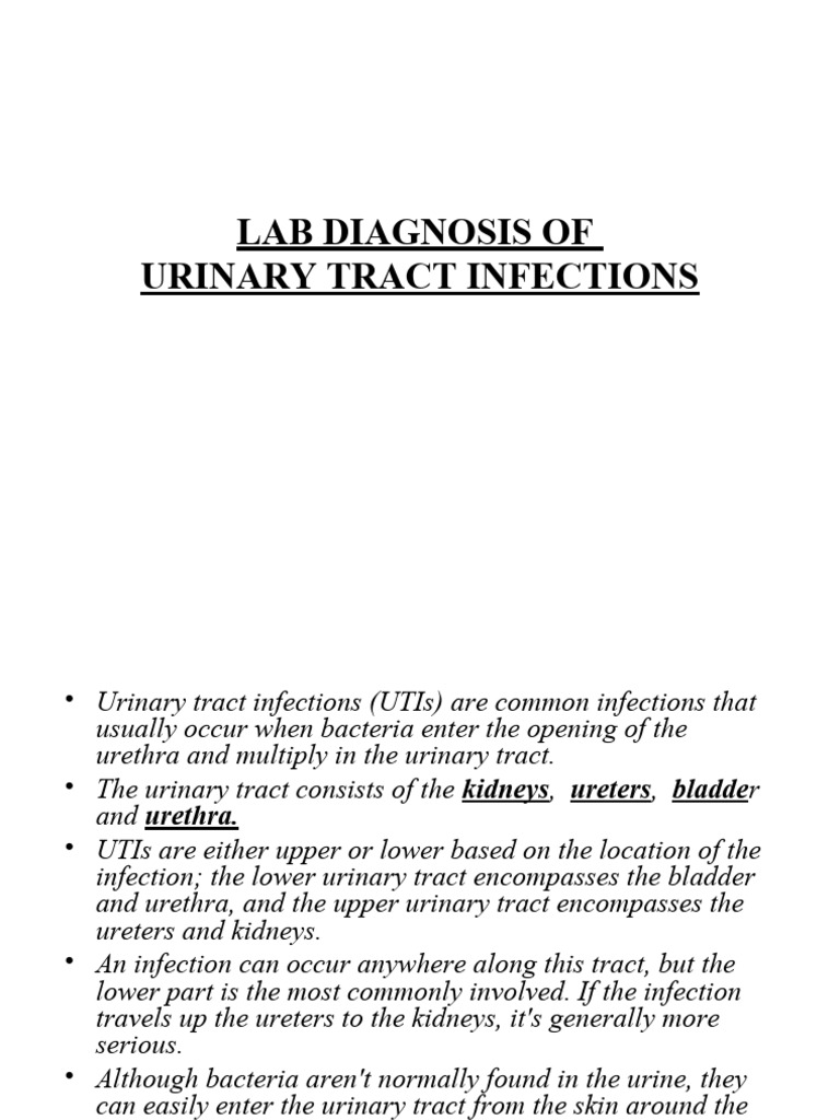 Lab Diagnosis of UTIs | PDF | Urinary Tract Infection | Urine