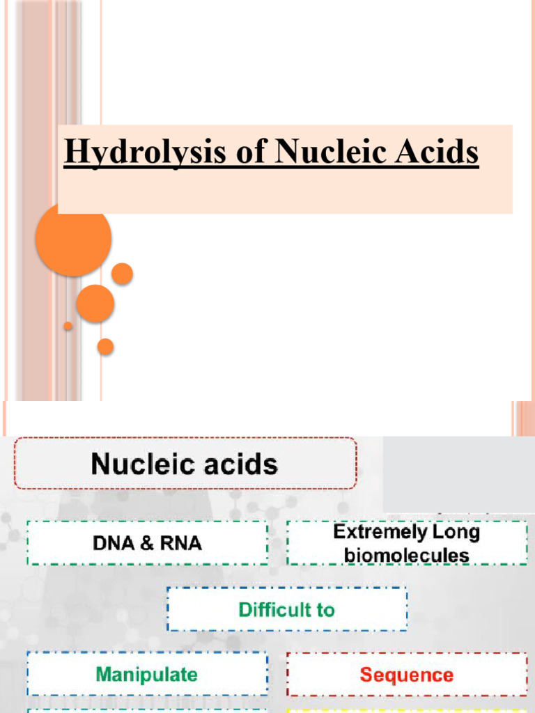 Hydrolysis of Nucleic Acids | PDF
