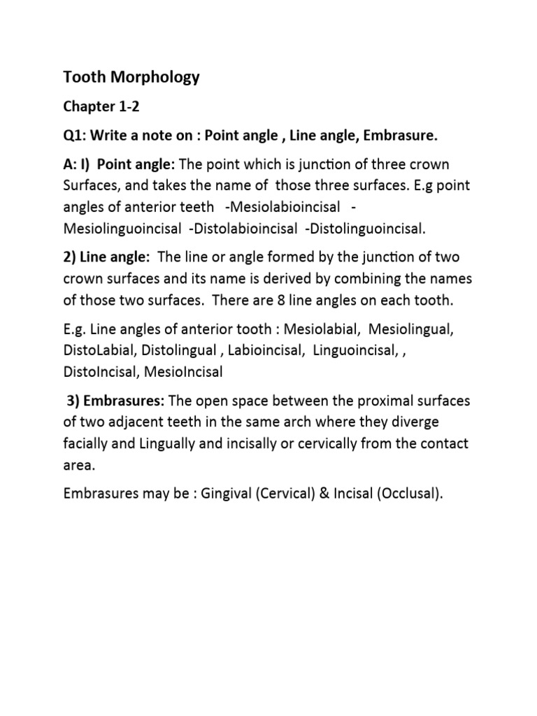 Tooth Morphology | PDF | Dental Anatomy | Tooth