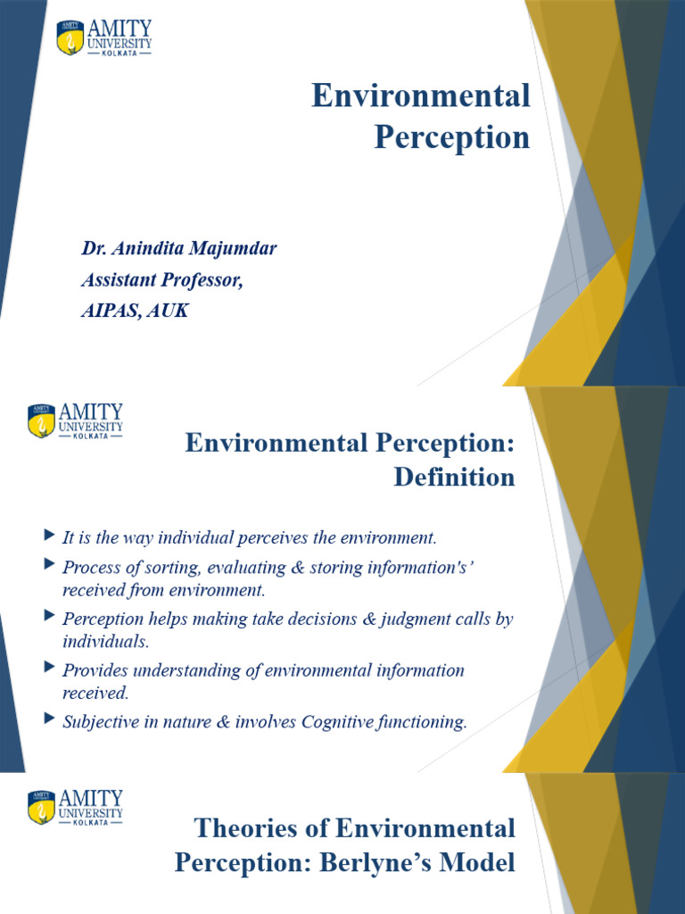 Environmental Perception - Concept & Theory | PDF | Perception | Curiosity