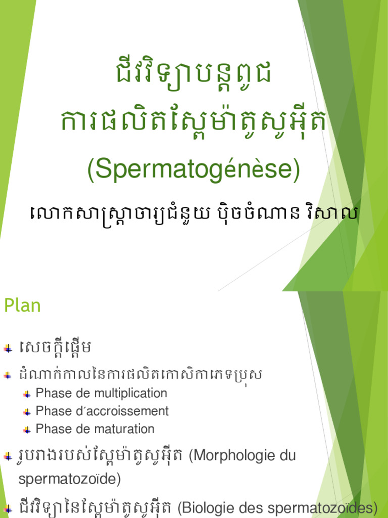 Pr.វិសាល Biology Spermatogénèse | PDF
