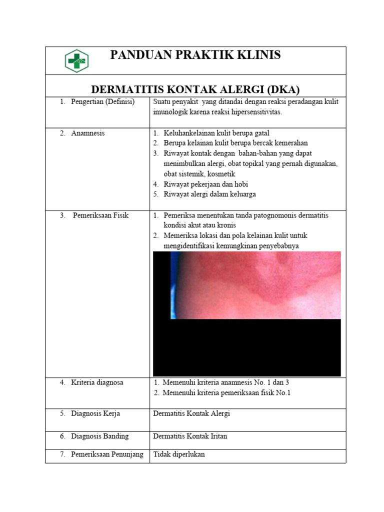 PPK Dermatitis Kontak Alergi | PDF