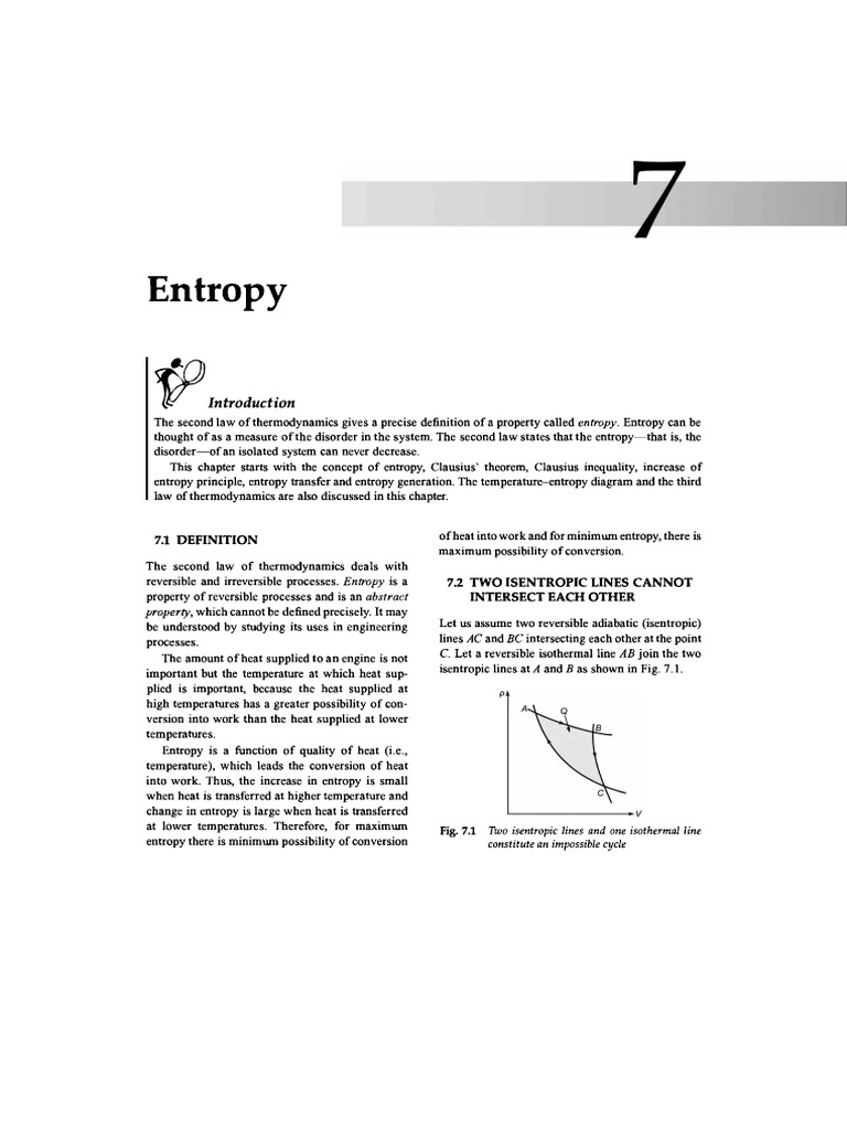 Entropy - Mahesh M Rathore | PDF