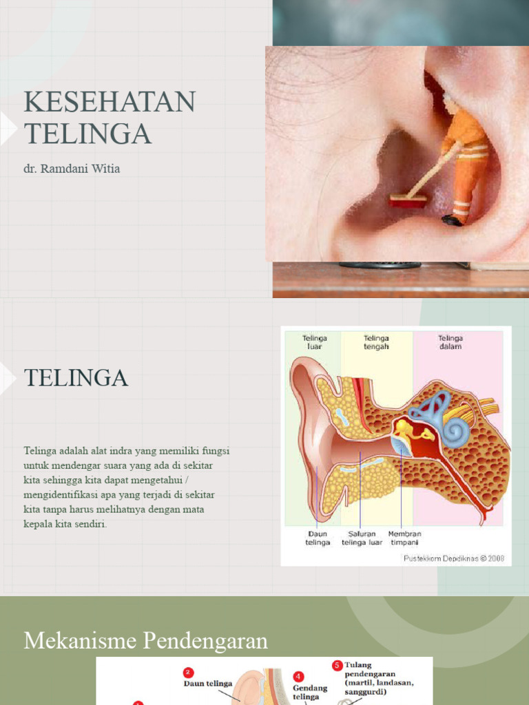 Kesehatan Telinga | PDF | Kesehatan Holistik | Sains & Matematika