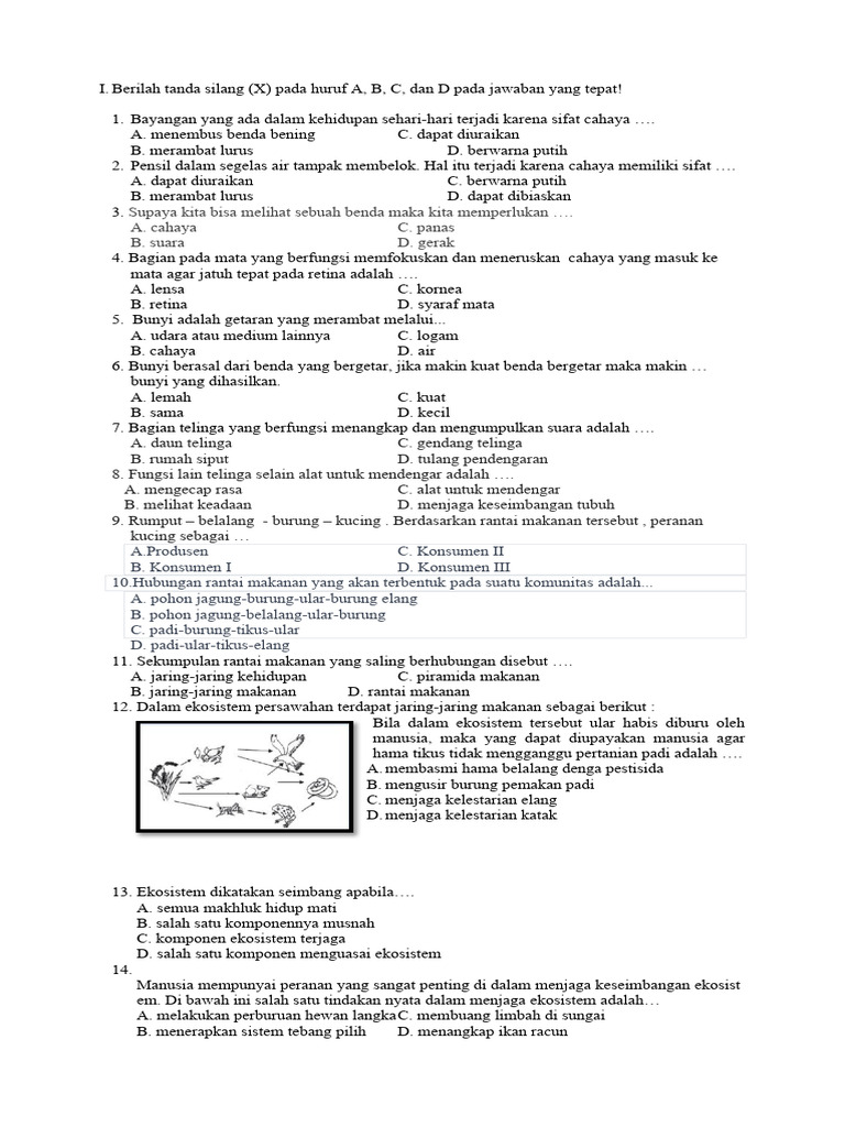 Latihan Soal Ipas | PDF