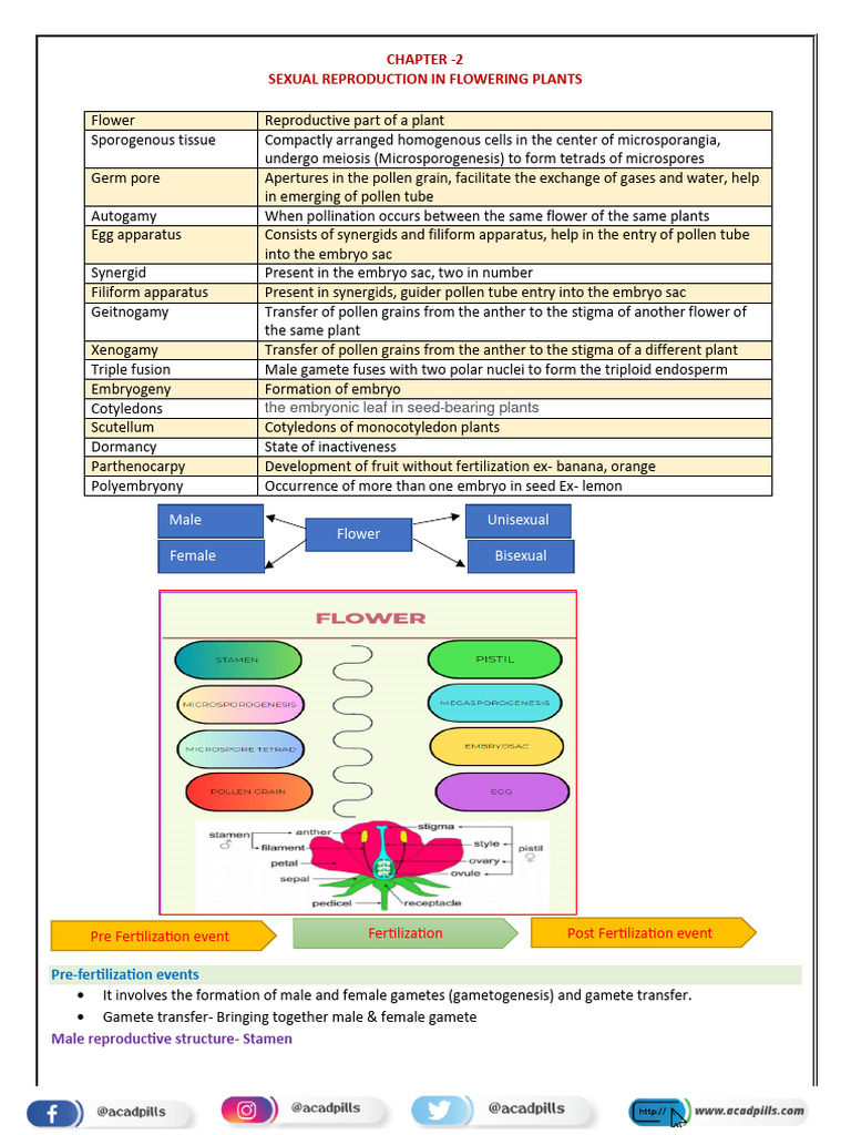 Chapter-2 Sexual Reproduction in Flowering Plants Flower | PDF ...