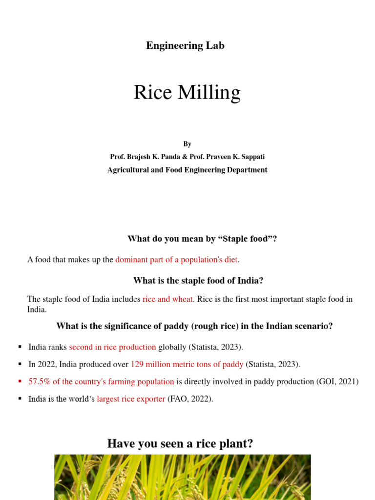 Engineering Lab_EN19003_Rice Miling (1) | PDF | Rice | Cereals