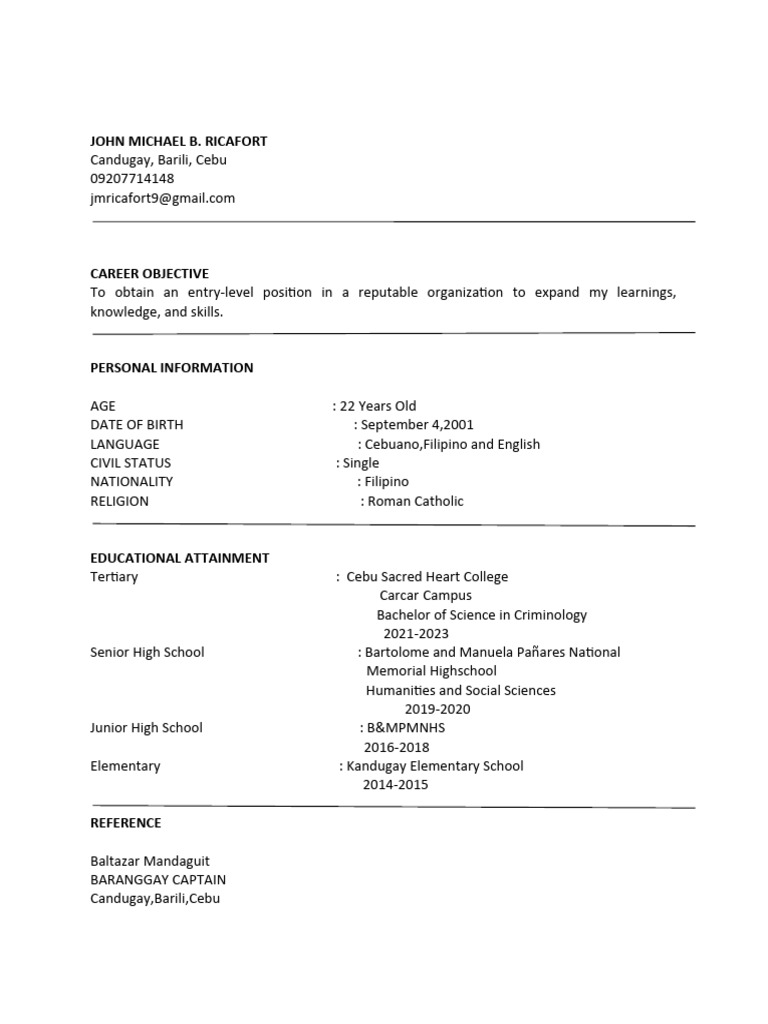 John Michael B. Ricafort | PDF